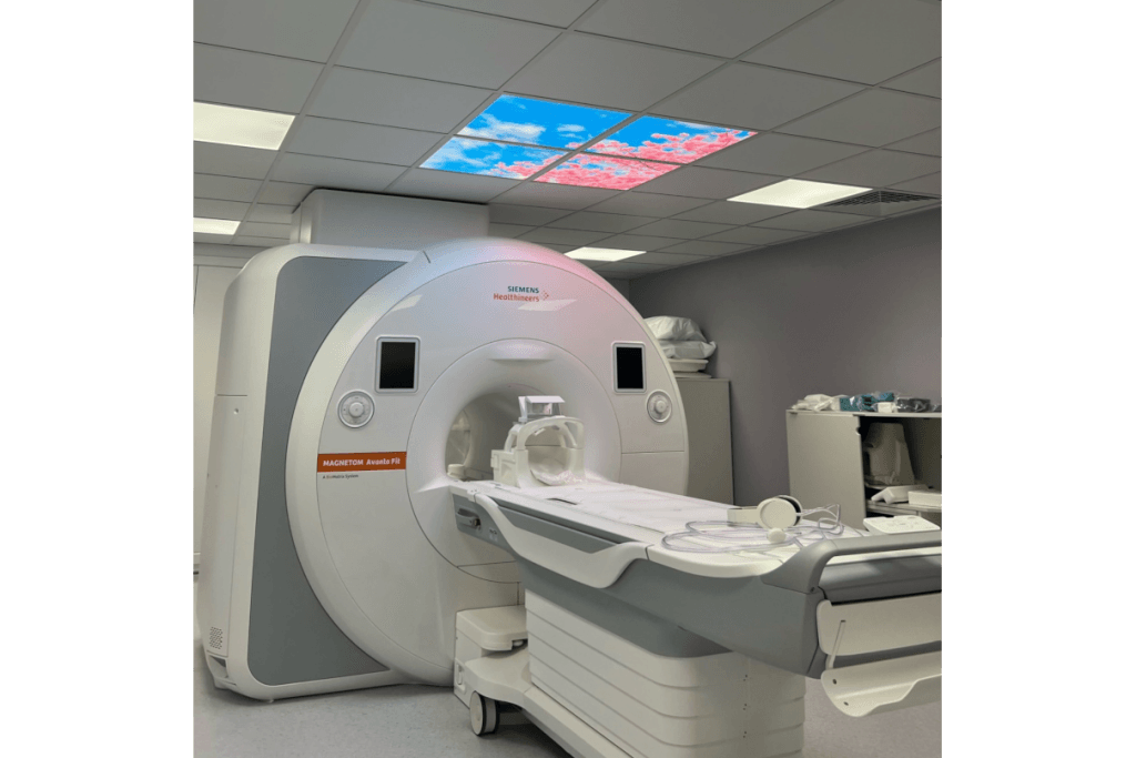 Colourful images transform dark MRI suites - RAD Magazine - The voice ...