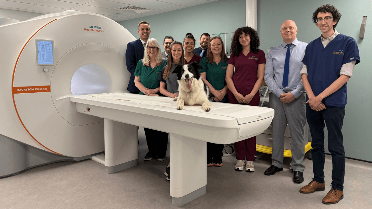 Lumbry Park opts for helium-independent MRI from Siemens Healthineers ...